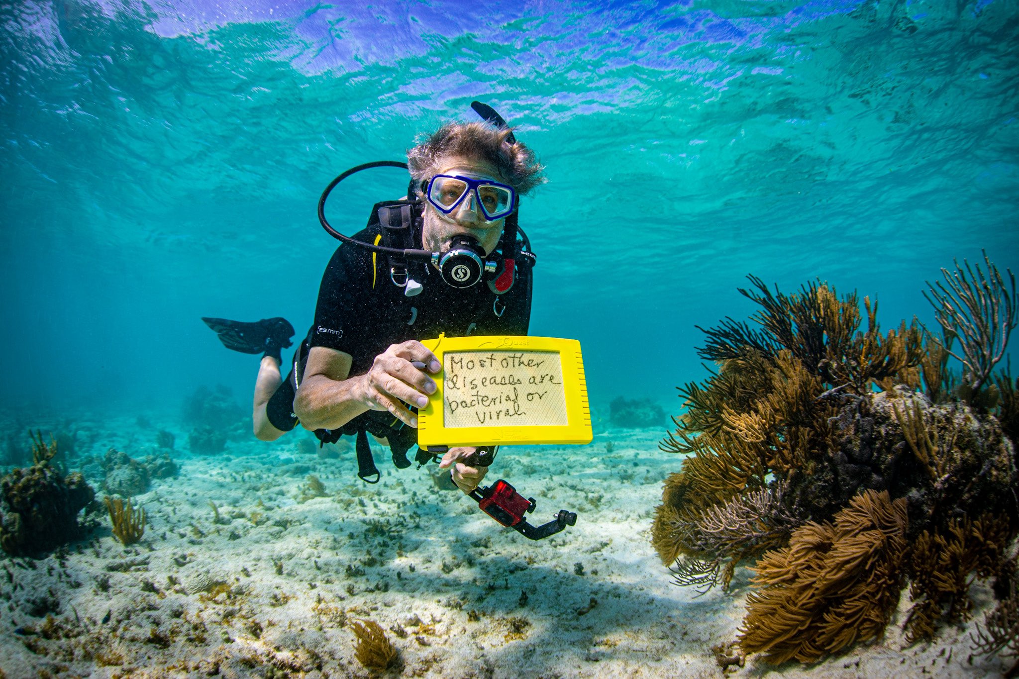 Ocean - Regenerative Technology